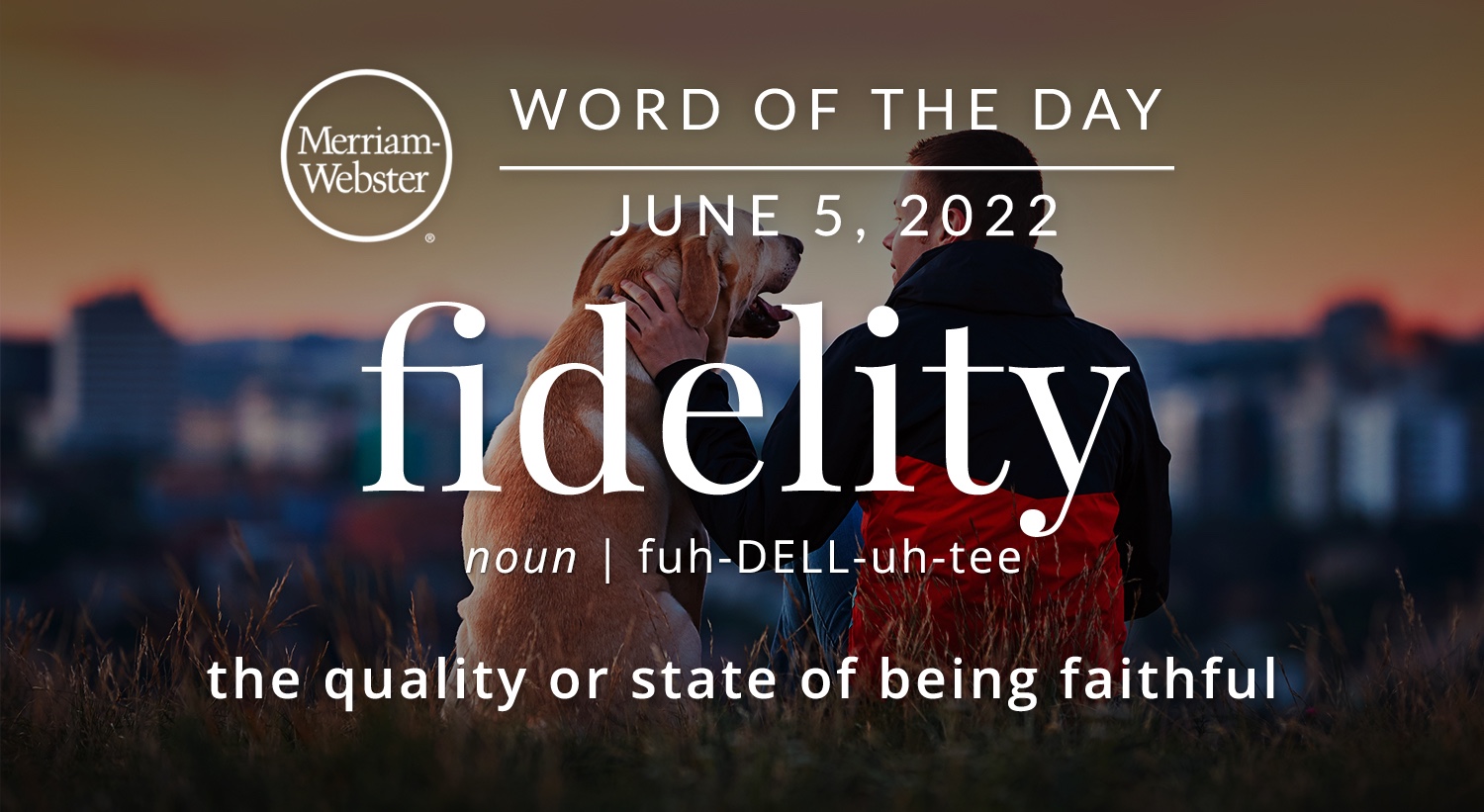 Merriam-Webster Word of the Day: Fidelity — Michael CavaciniMichael ...