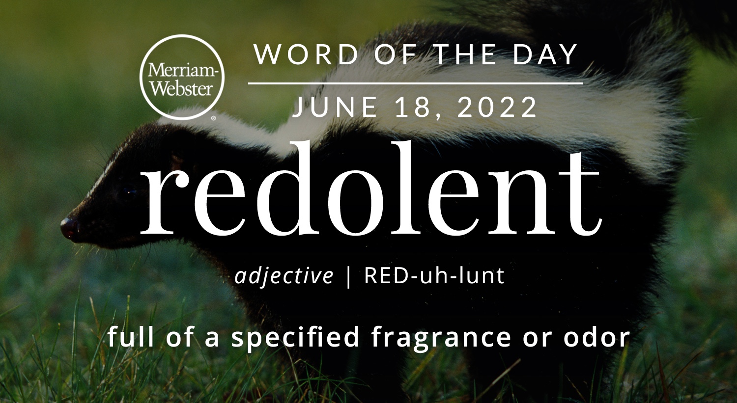 Merriam-Webster Word of the Day: Redolent — Michael CavaciniMichael ...