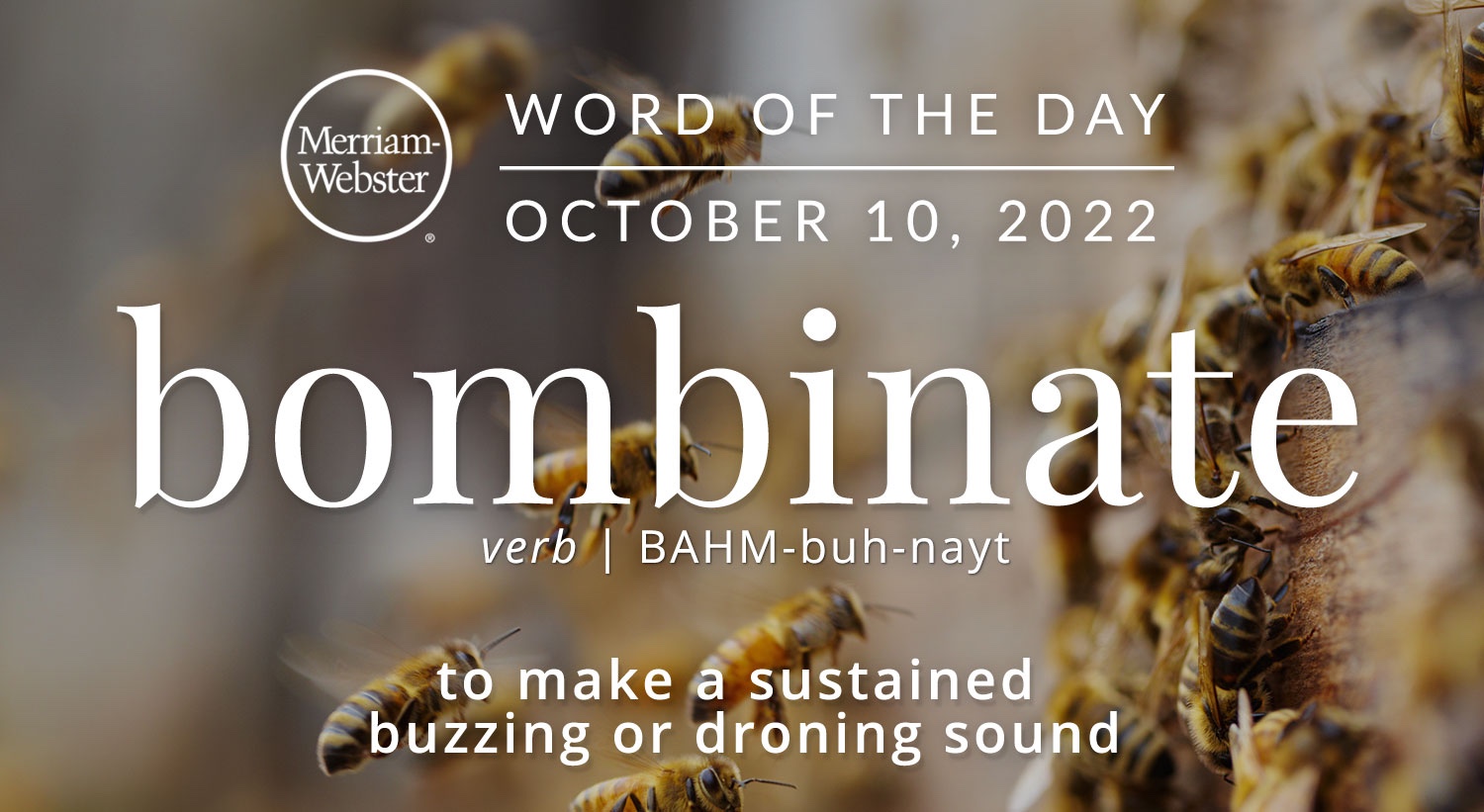 Merriam-Webster Word of the Day: Bombinate — Michael CavaciniMichael ...