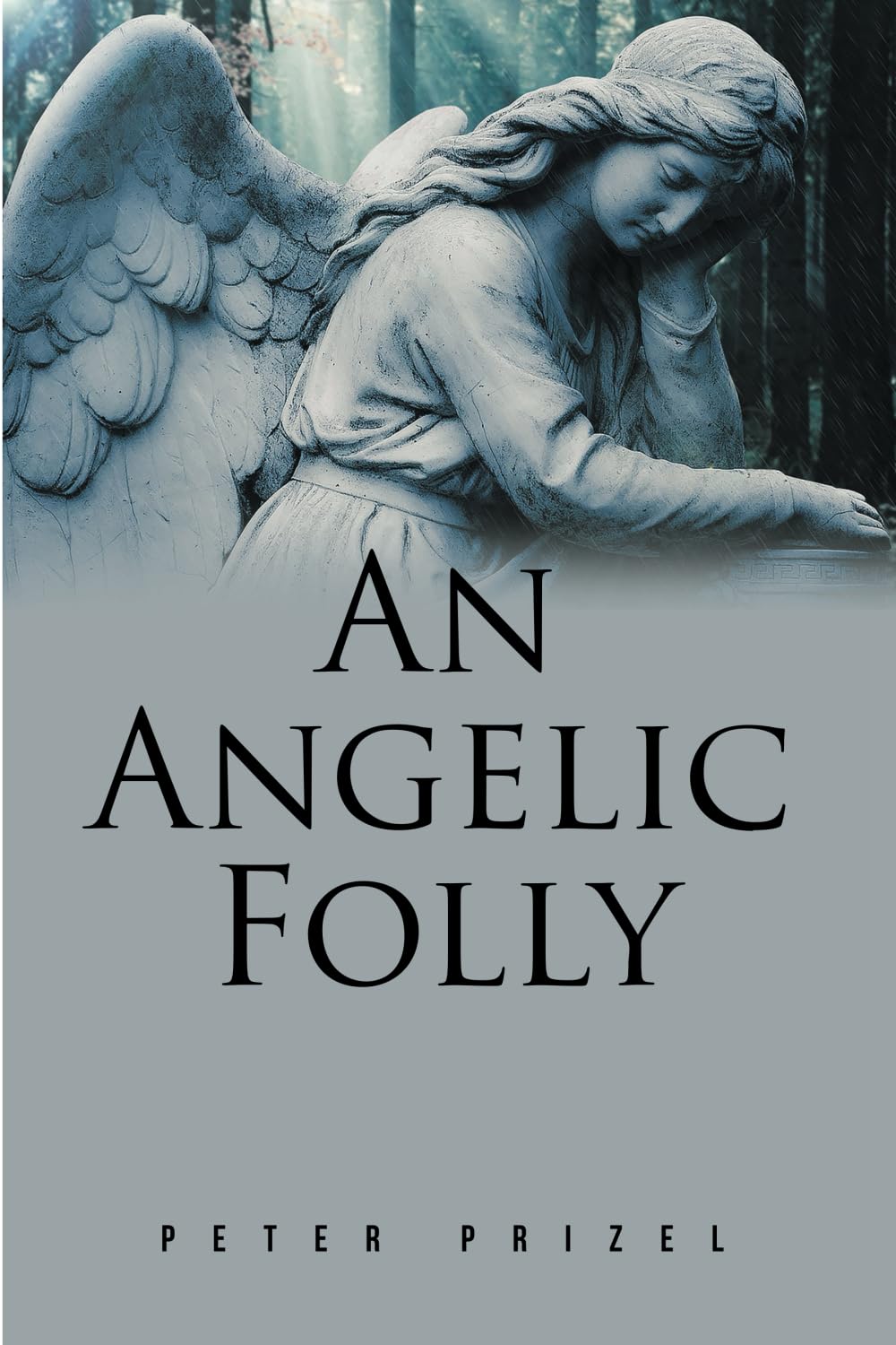 Navigating Life and Death: An Angelic Folly by Peter Prizel — Michael ...